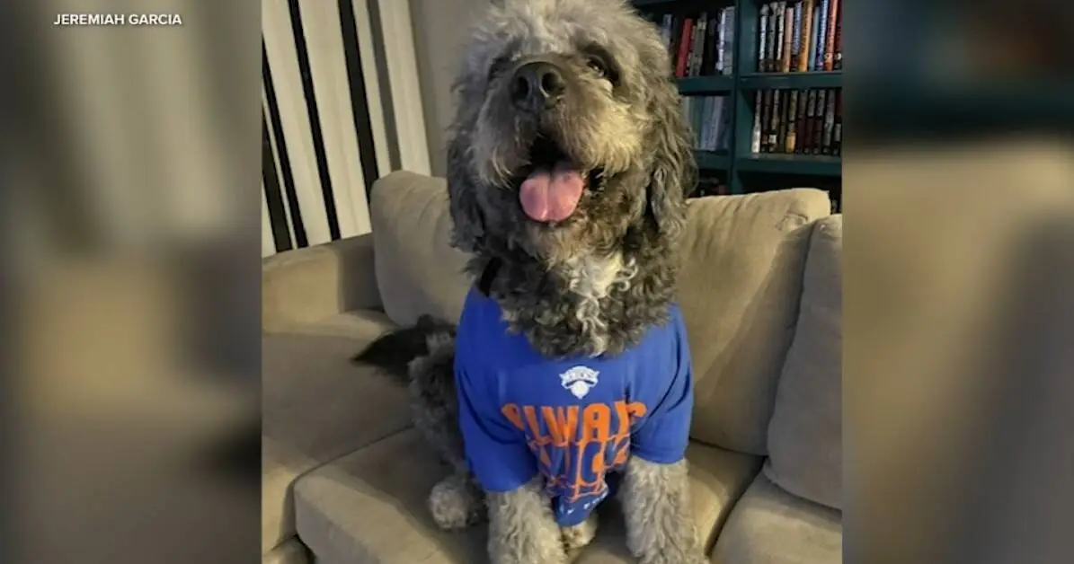 Family Claims That the LAPD Has Not Apologized for Killing Knicks Fan’s ...