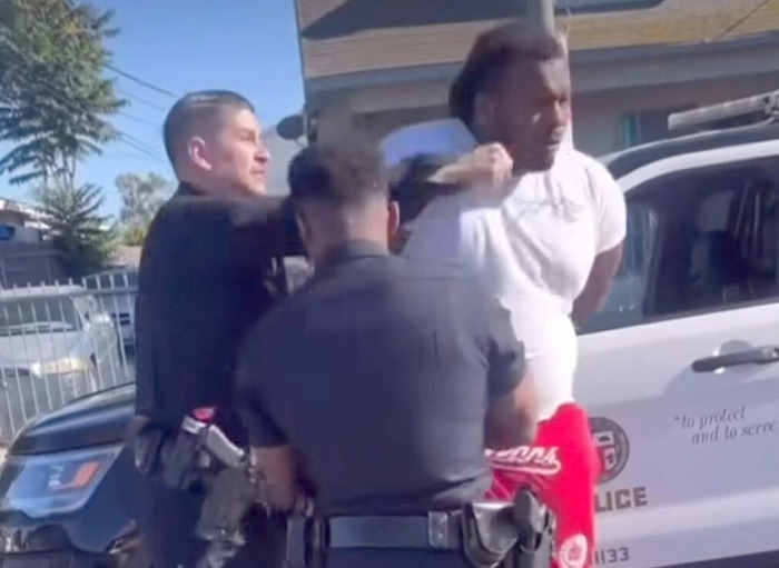 VIDEO: LA Police Officer Punches Handcuffed Black Man Alexander Donta ...